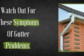 5 Signs That Pests Have Invaded Your Gutters | Cincy Gutter Boys