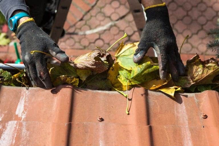 Overflowing Gutters: Common Causes and How to Fix Them
